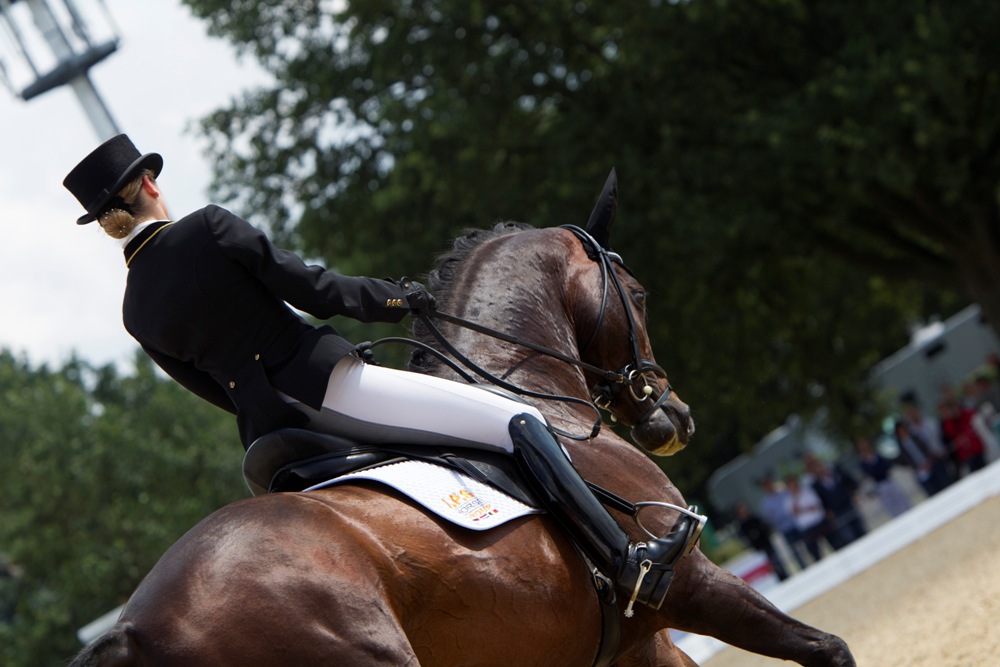 Spectator Judging at the World Breeding Dressage Championships for ...