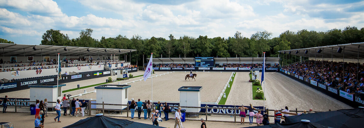 Vital Hit meest complete paard in kleine finale Sport Pro Horses Prize ...